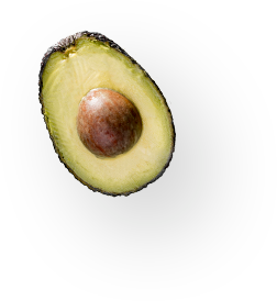 Capital Agro – For Import & Export S.A.E