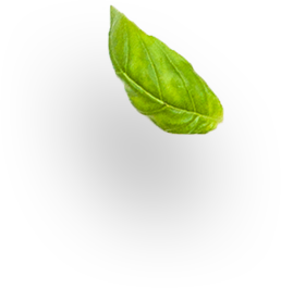 Capital Agro – For Import & Export S.A.E