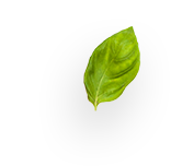 Capital Agro – For Import & Export S.A.E