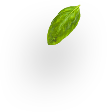 Capital Agro – For Import & Export S.A.E