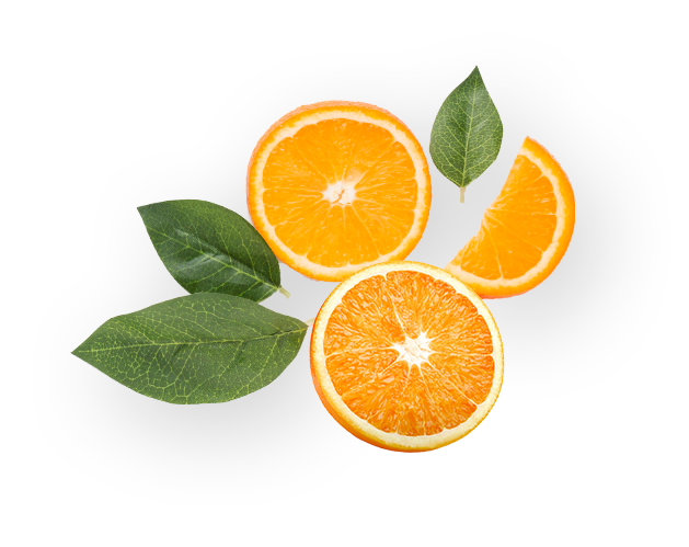 Capital Agro – For Import & Export S.A.E