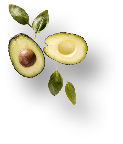 Capital Agro – For Import & Export S.A.E