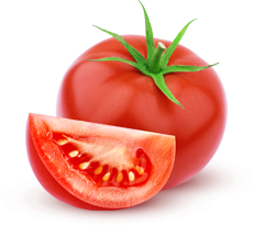 Capital Agro – For Import & Export S.A.E