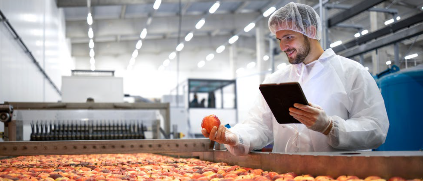 Capital Agro – For Import & Export S.A.E